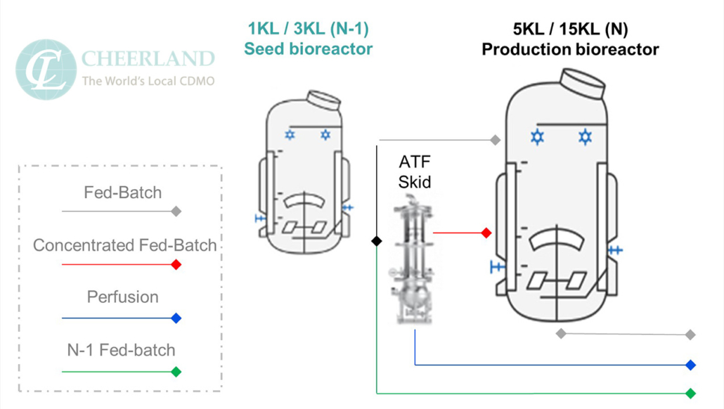 CLB's N-1 perfusion manufacturing process - 乐土生命科技